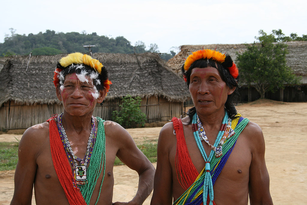 The Guiana Shield: One of the Last Wild Places on Earth