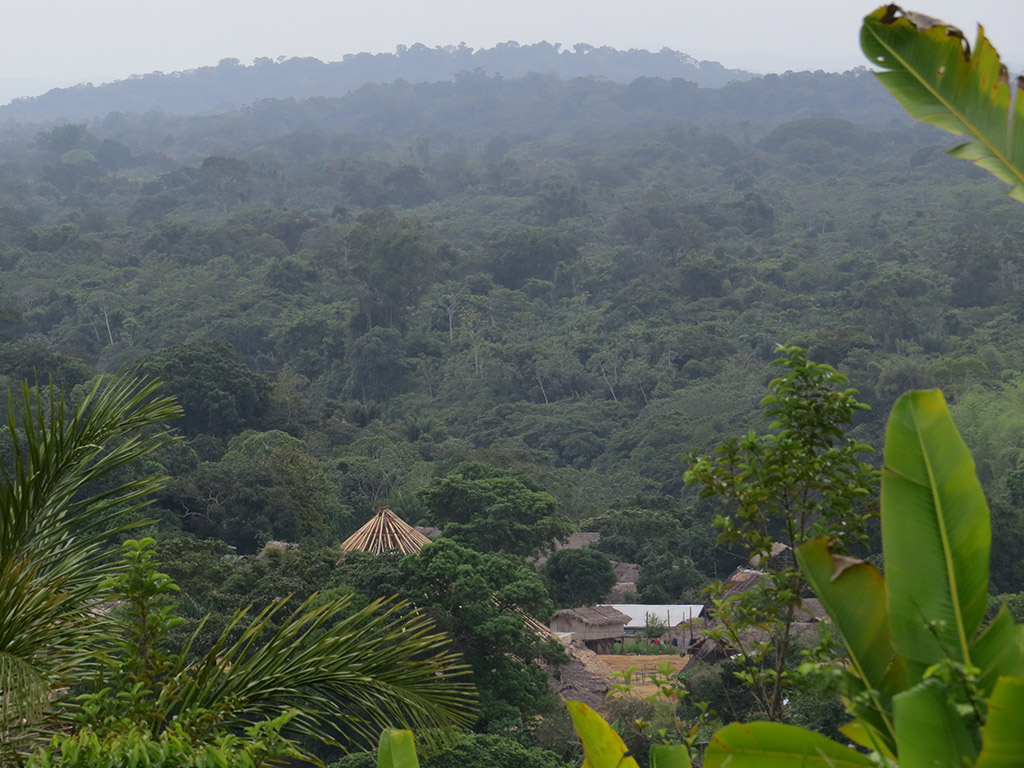 The Guiana Shield: One of the Last Wild Places on Earth