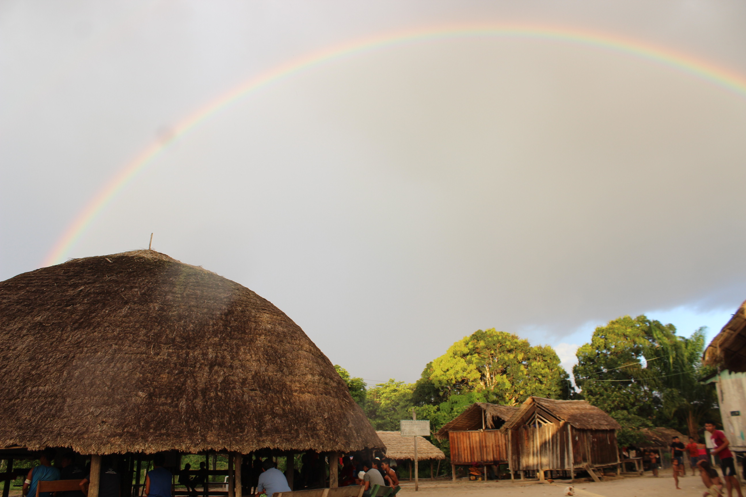 The Guiana Shield: One of the Last Wild Places on Earth