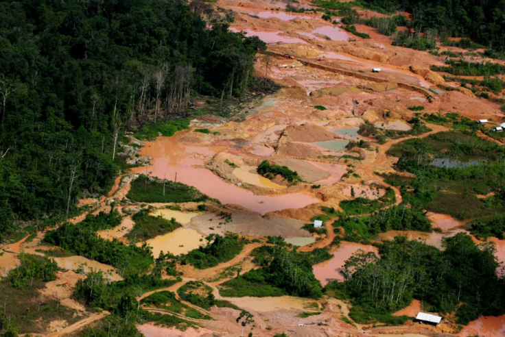 Amazon Gold Rush: Gold Mining in Suriname