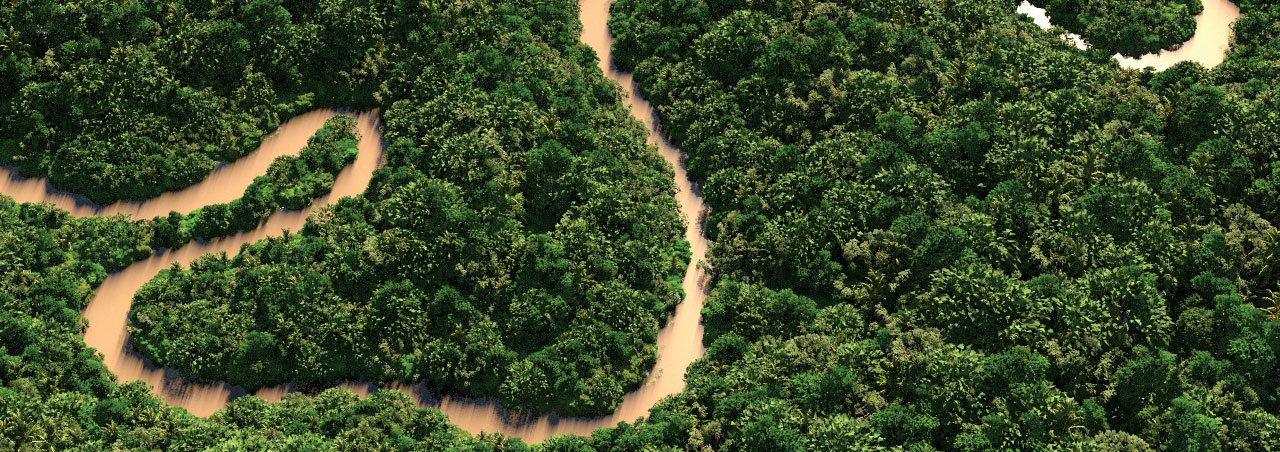 Legacy Gifts - Amazon Conservation Team