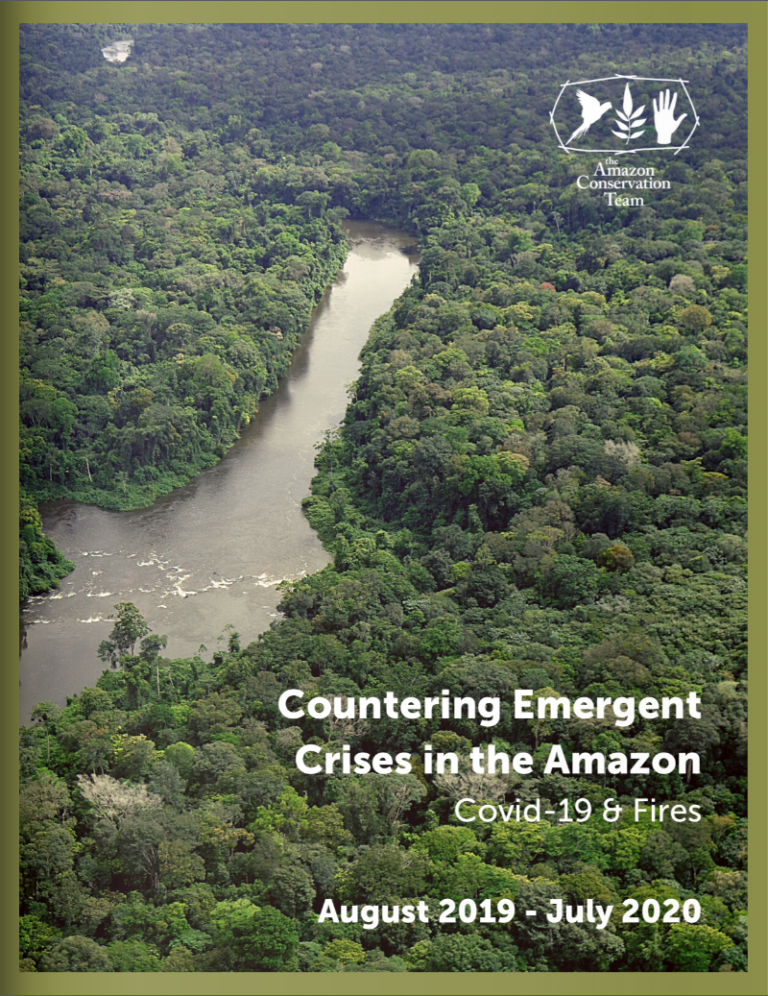 Countering Emerging Crises in the Amazon: Covid-19 & Fires - Amazon ...