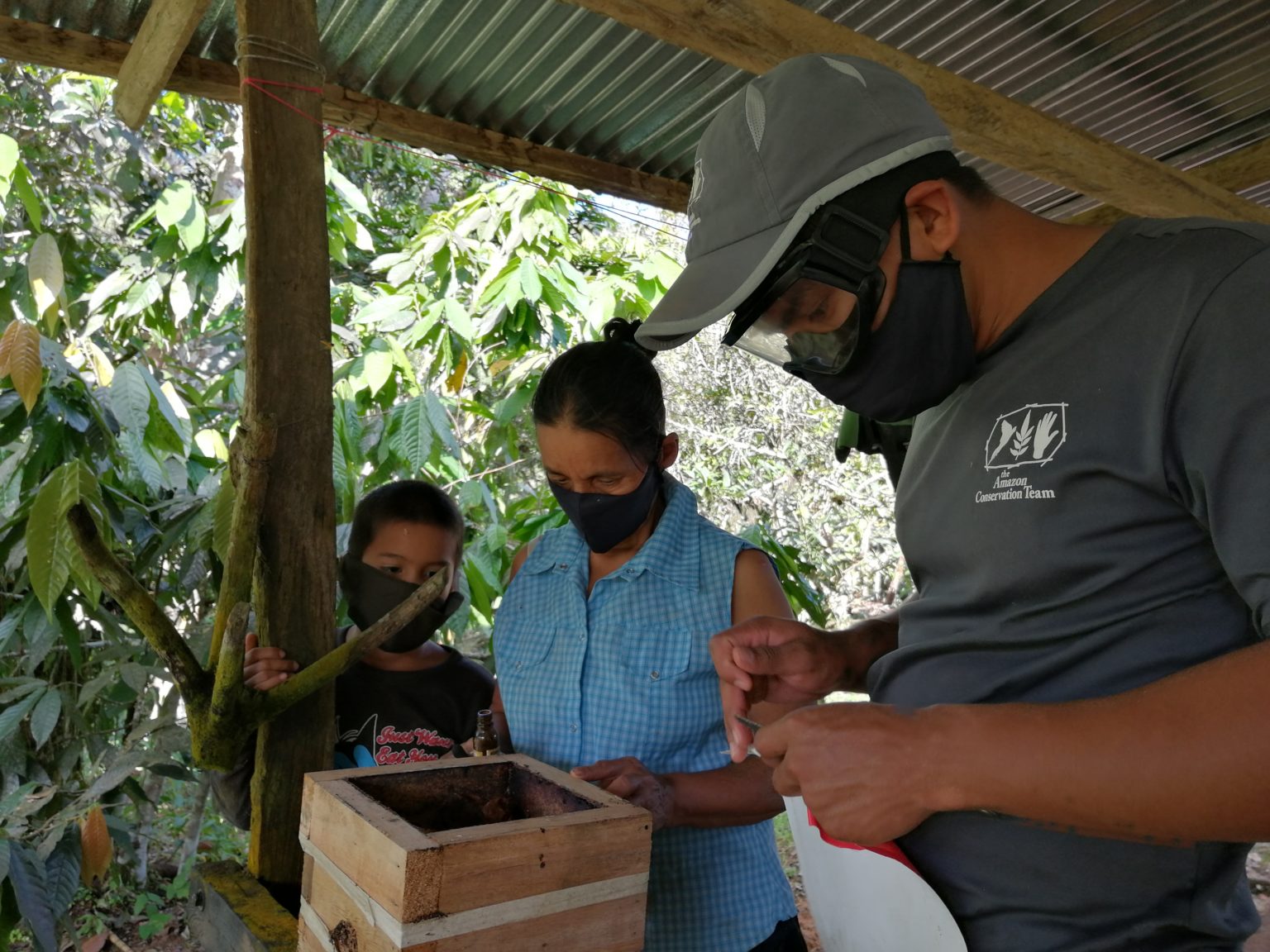 Facing Food Insecurity on the Front Lines: Agroforestry Solutions in ...