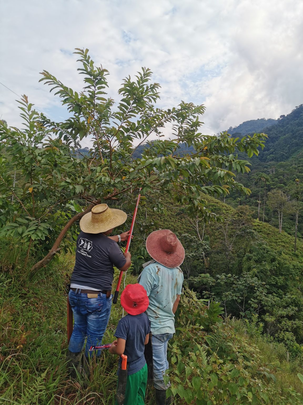 Facing Food Insecurity on the Front Lines: Agroforestry Solutions in ...