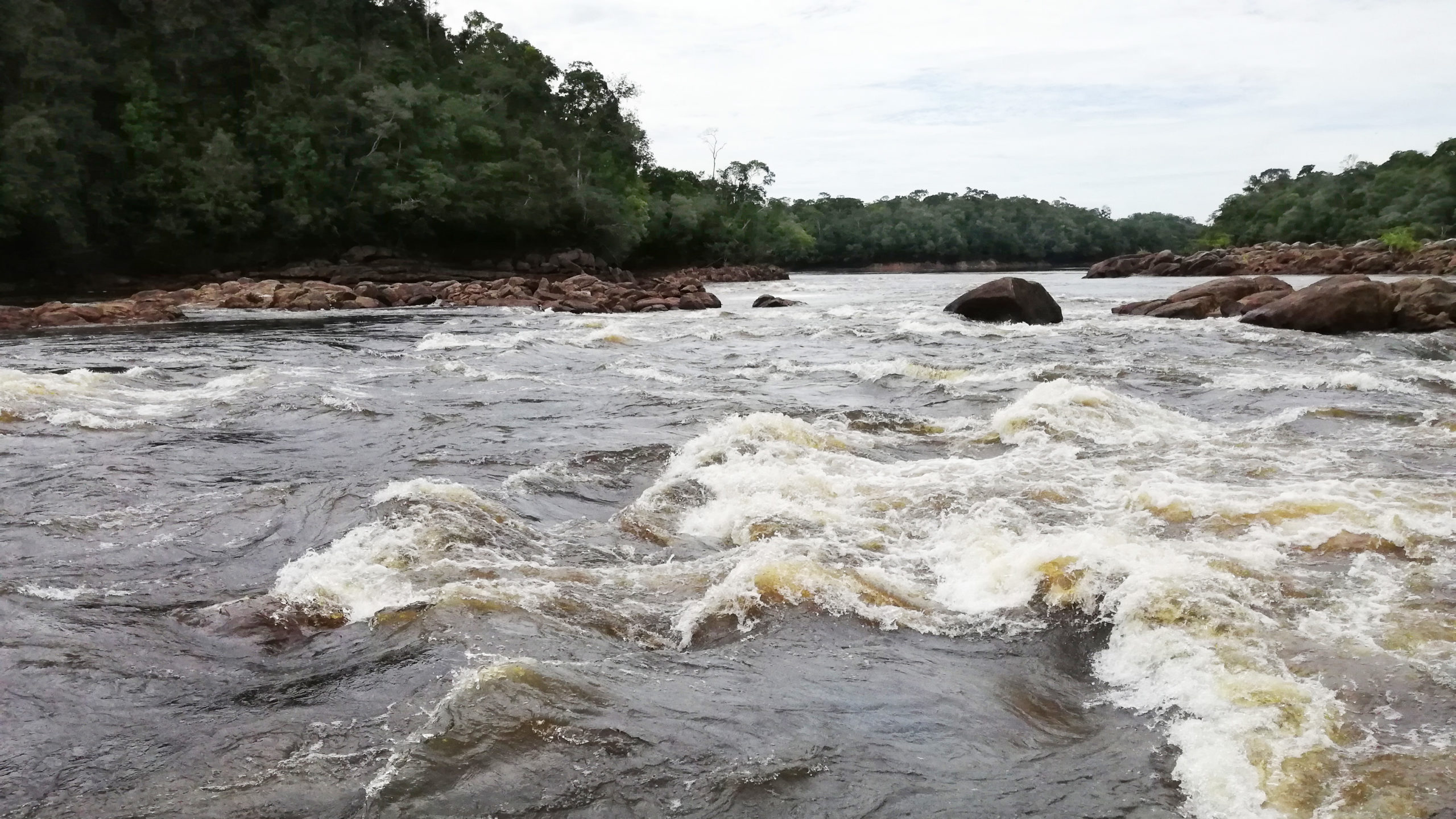 Major Rainforest Conservation Success in Colombia - Amazon Conservation ...