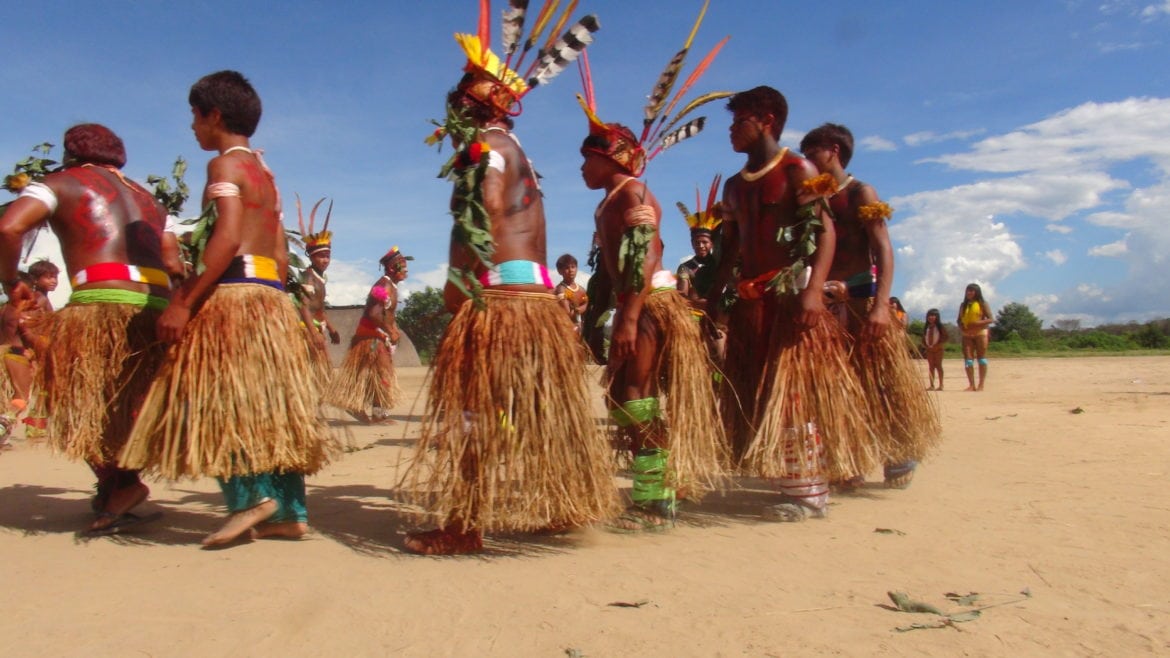 Blog Post Archives - Amazon Conservation Team