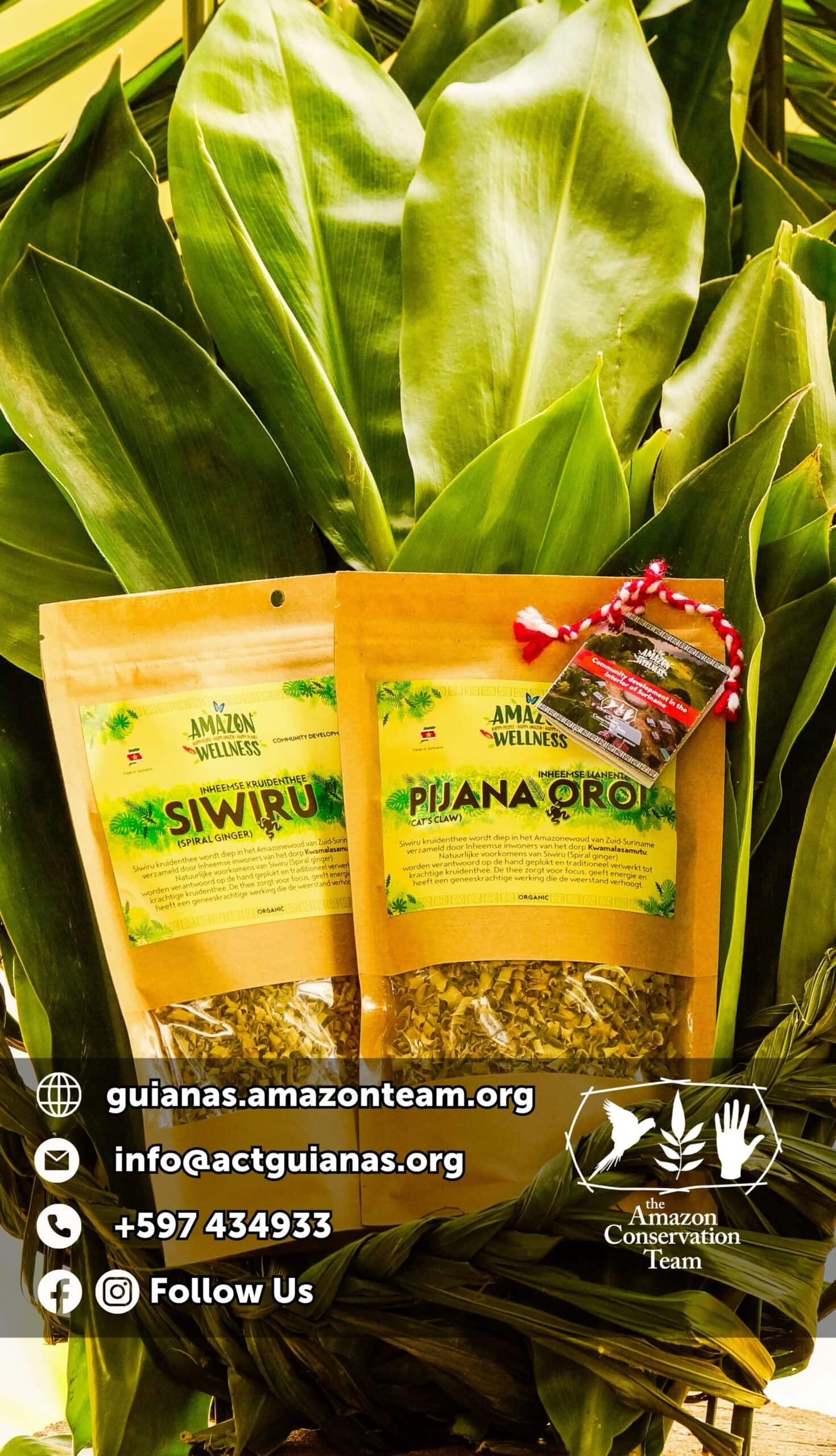 Amazon Conservation Team Guianas at the World Environment Day Expo ...