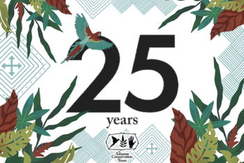 Amazon Conservation Team | Protecting the Amazon in Partnership with ...