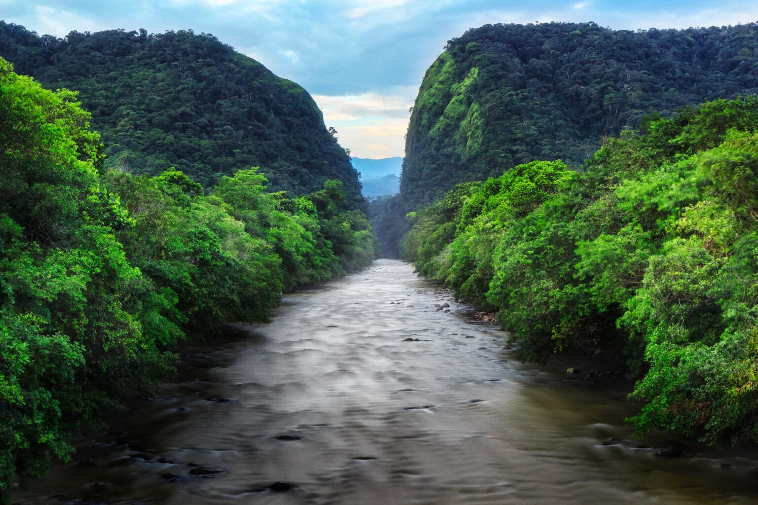 Amazon Rainforest biodiversity and conservation