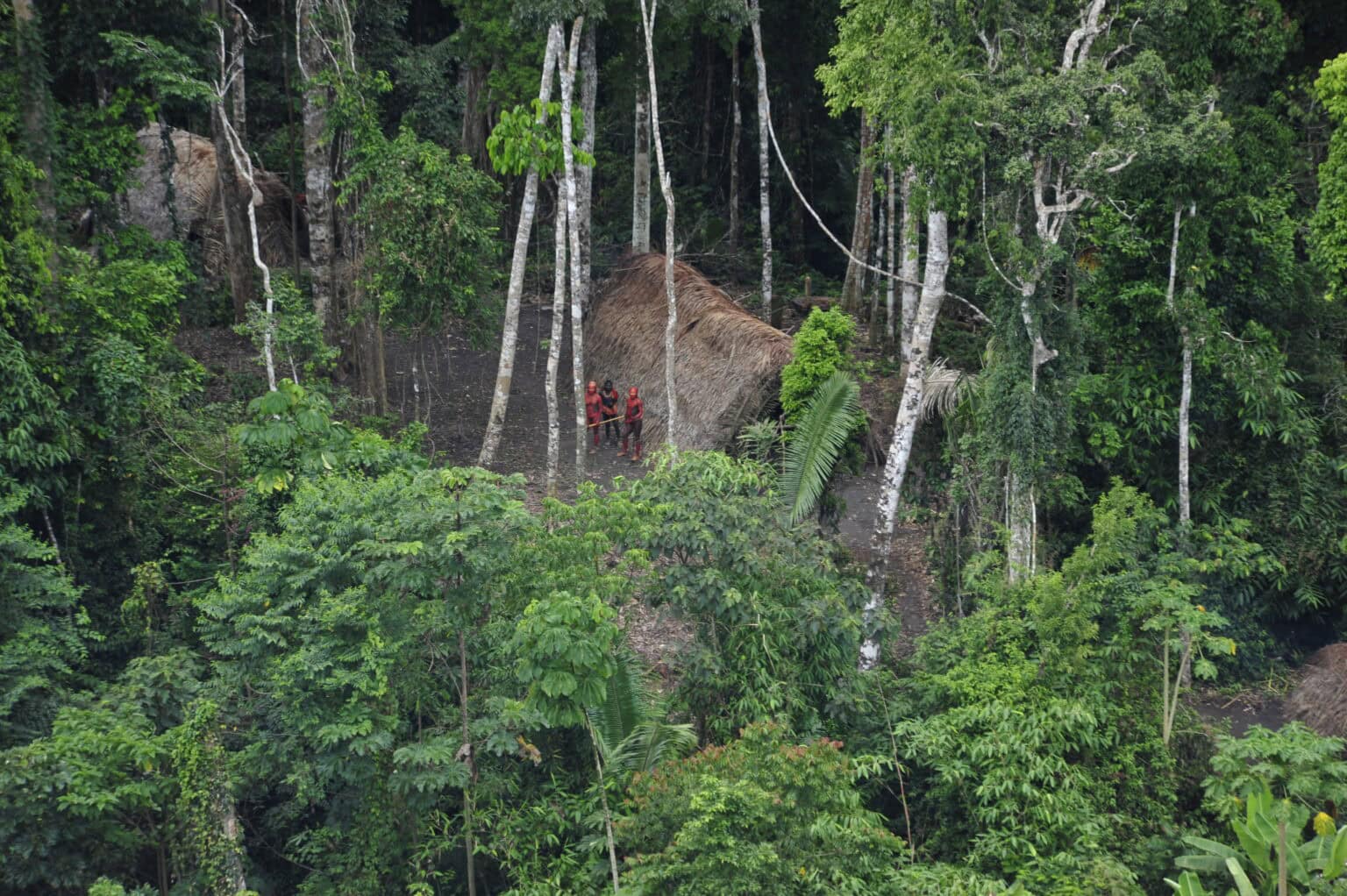 COP 30 - Amazon Conservation Team