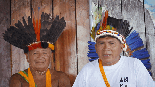 Indigenous Medicine Webinar: Five Takeaways from ACT-Brasil’s “Paths of ...