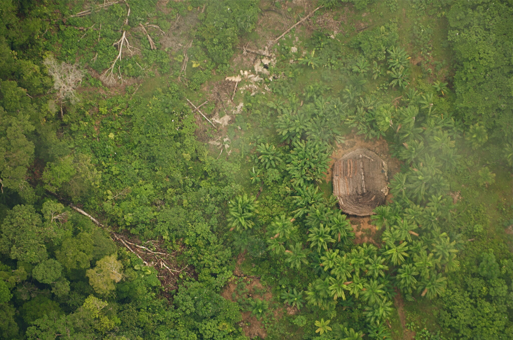 How to protect isolated Indigenous peoples without harmful contact ...