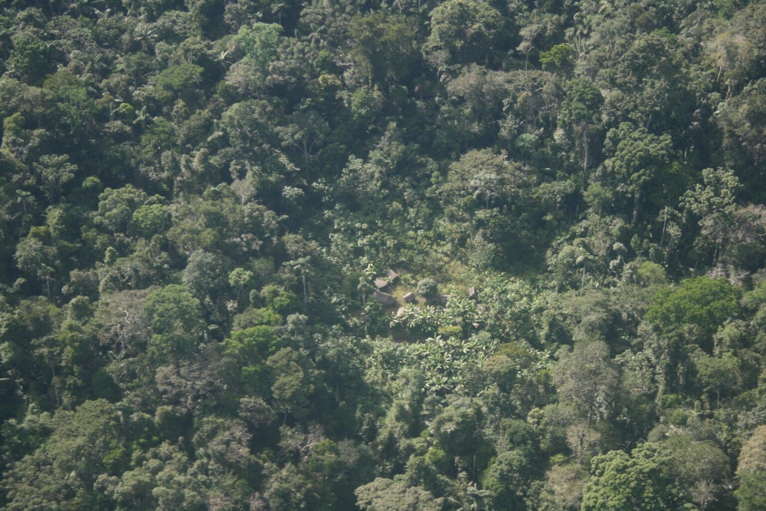 Peru Fails to Seize Critical Opportunity to Create World’s Largest ...