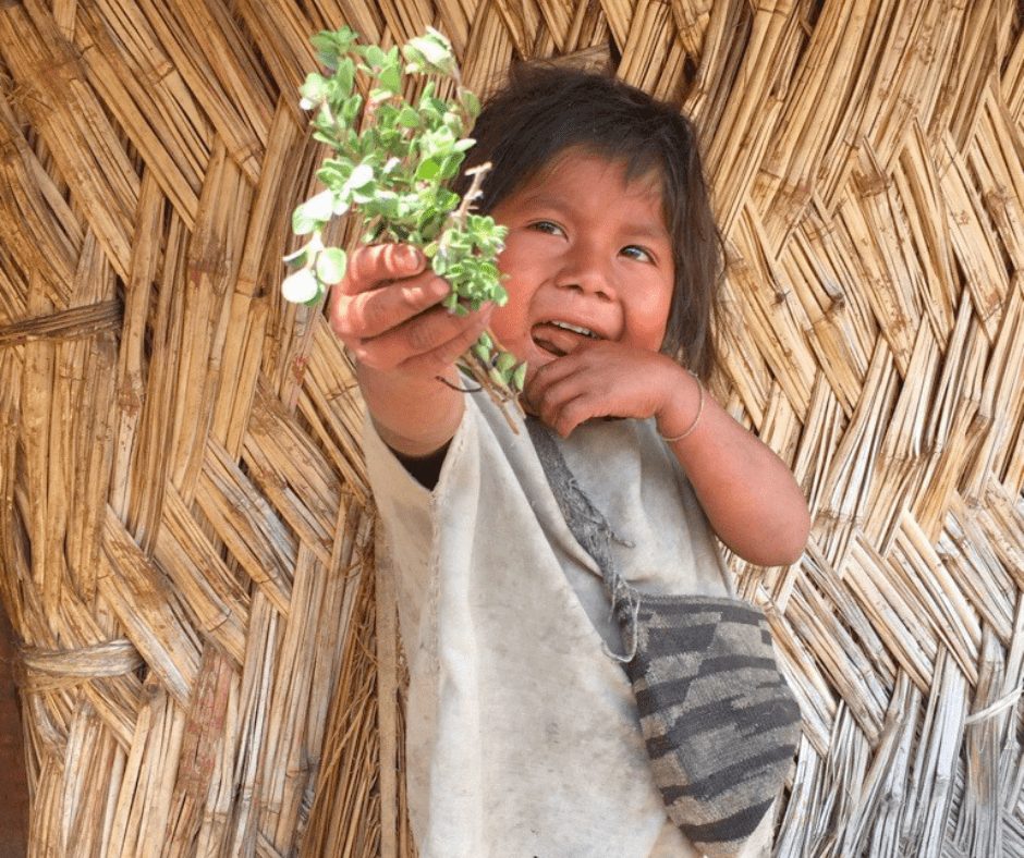 Easy Conservation Tips for Kids: How Young Protectors Can Help Nature ...