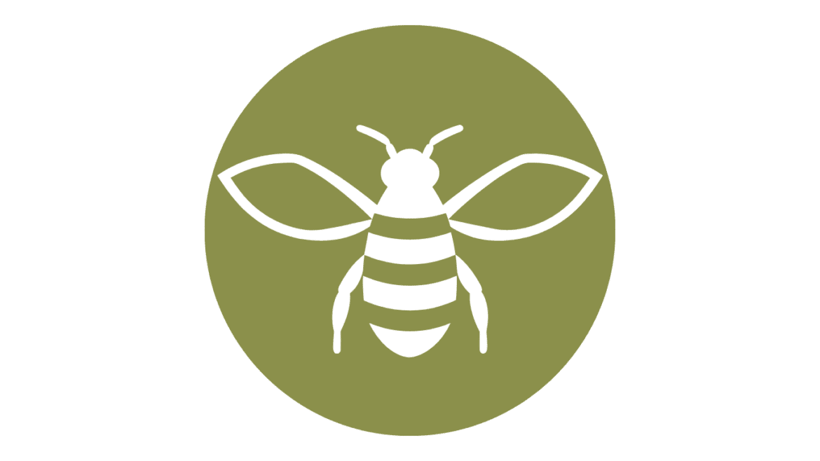 Amazonian Honey - Amazon Conservation Team